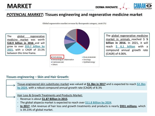 Ppt DERMA ENGLISH | PDF | Skin and Dermatology | Diseases and Conditions