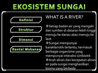 Ppt. ekosistem sungai | PPTX