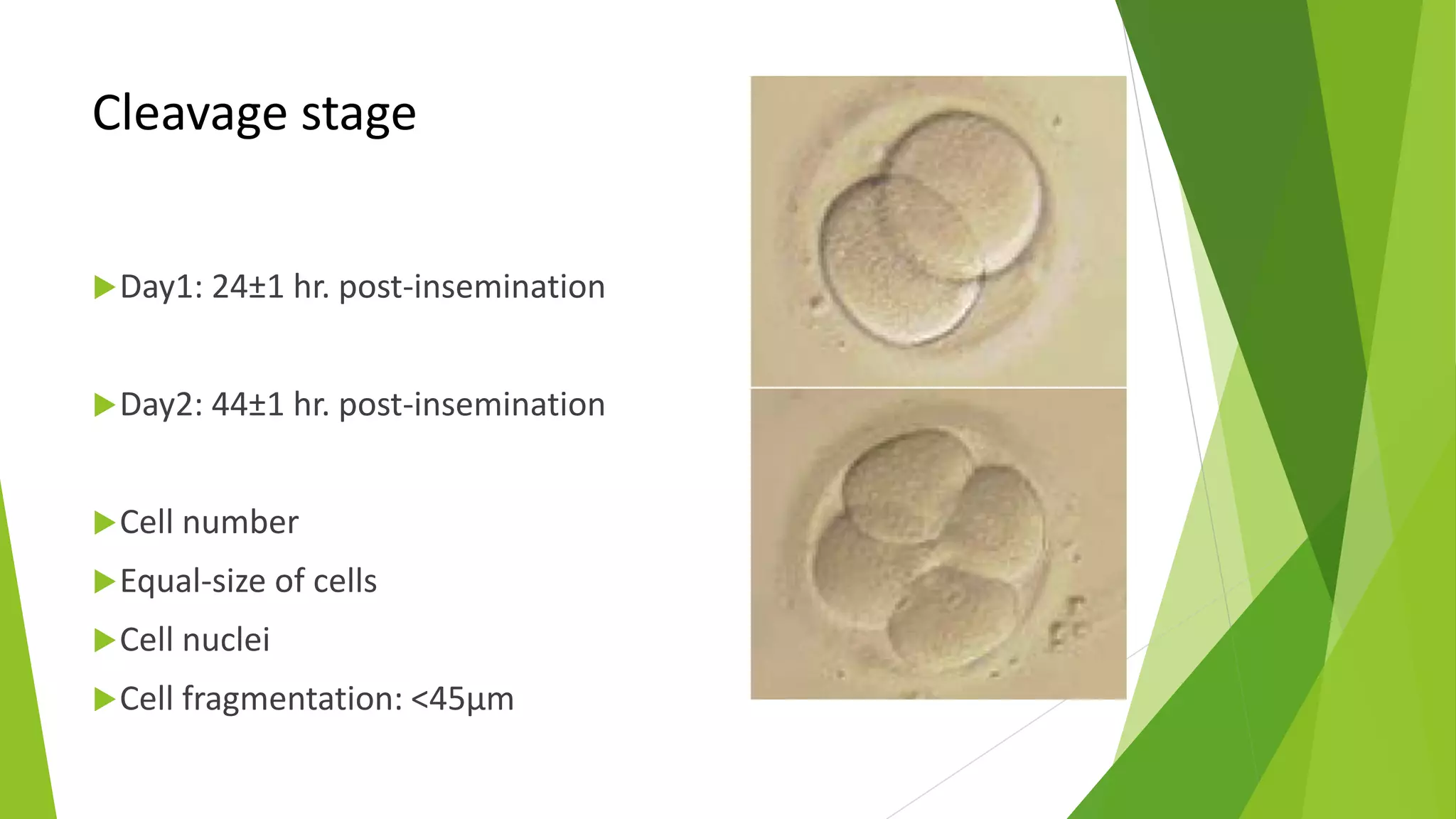 PPT-Embryo grading and ART Summary.pptx