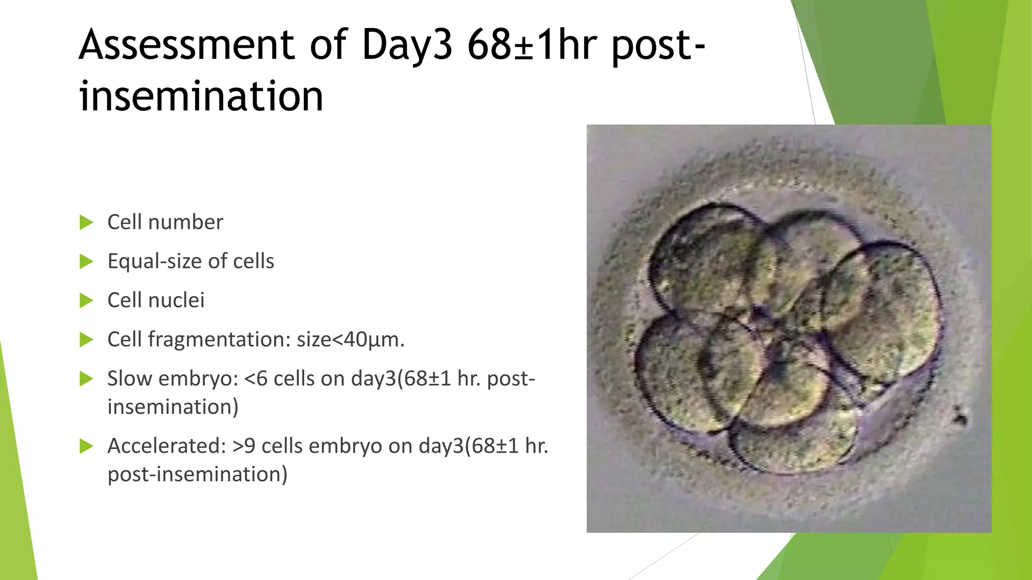 PPT-Embryo grading and ART Summary.pptx