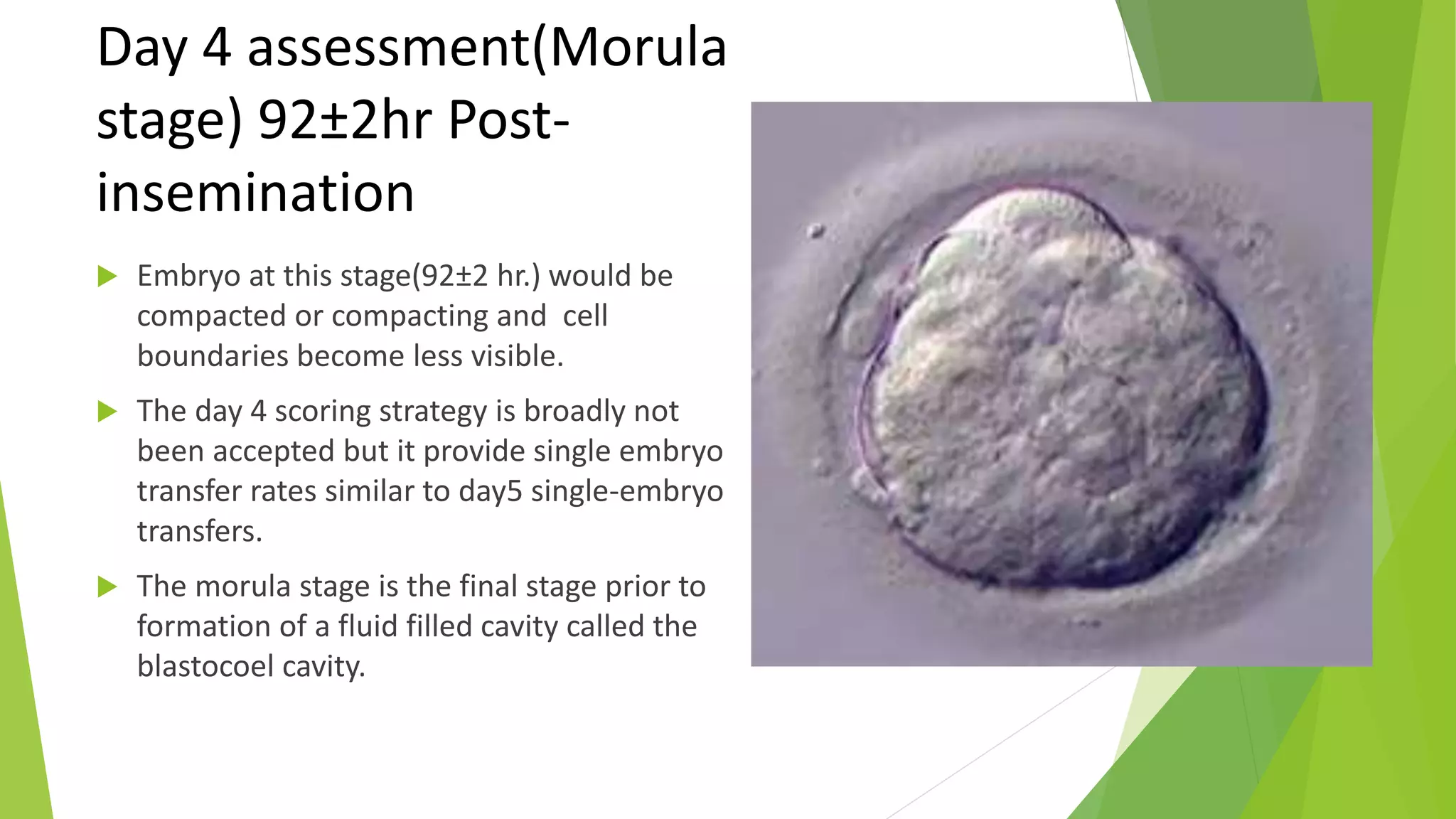 PPT-Embryo grading and ART Summary.pptx