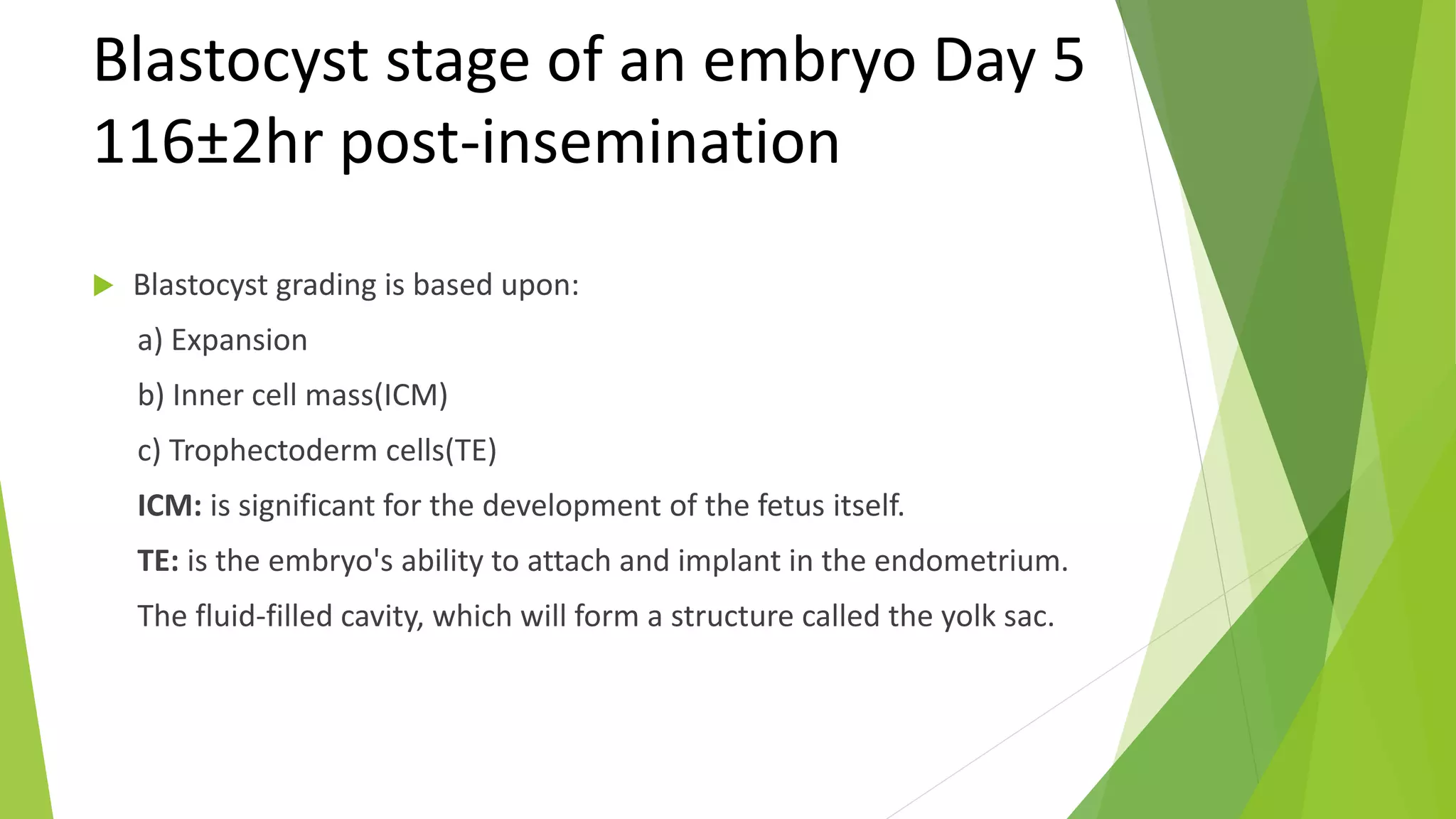 PPT-Embryo grading and ART Summary.pptx