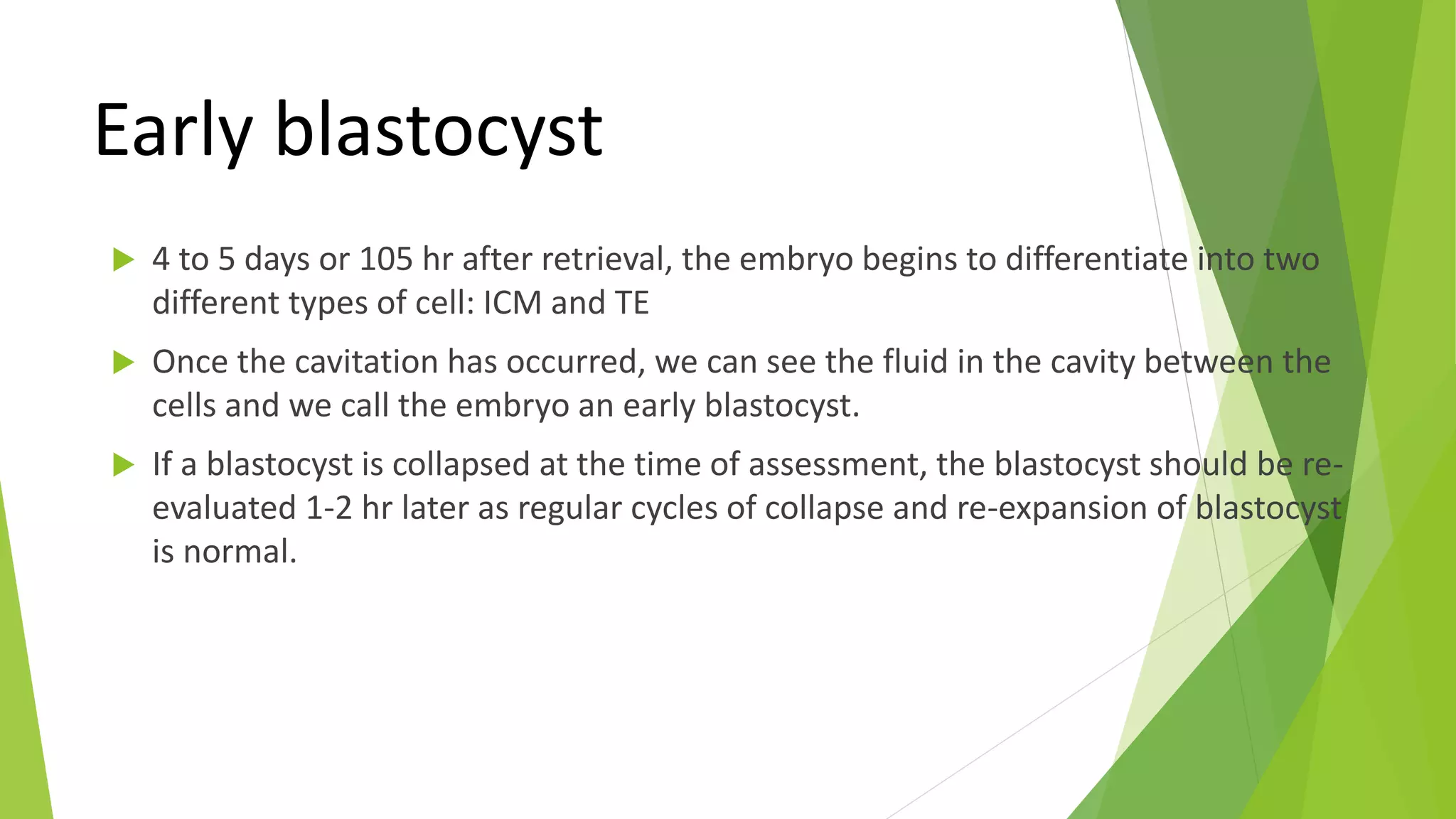 PPT-Embryo grading and ART Summary.pptx