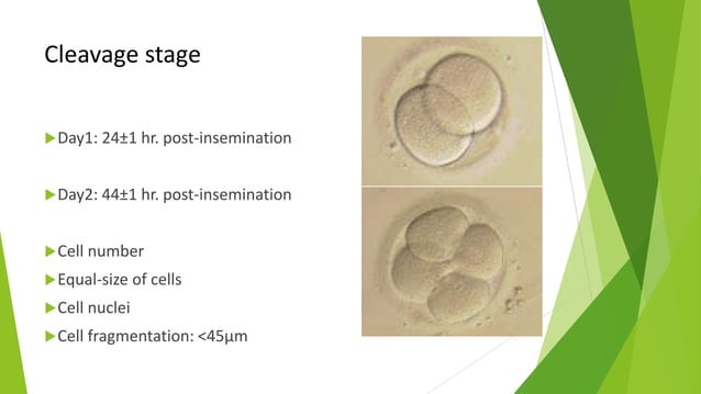PPT-Embryo grading and ART Summary.pptx | Pregnancy | Reproductive Health