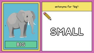 PPT - ENGLISH IN SYNONYMS AND ANTONYMS FOR GRADE 2 | PDF