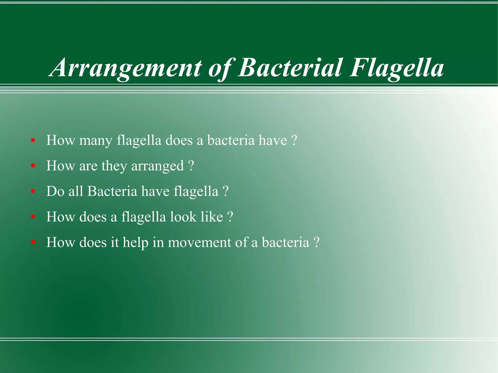 Ppt flagella seminar | PPT