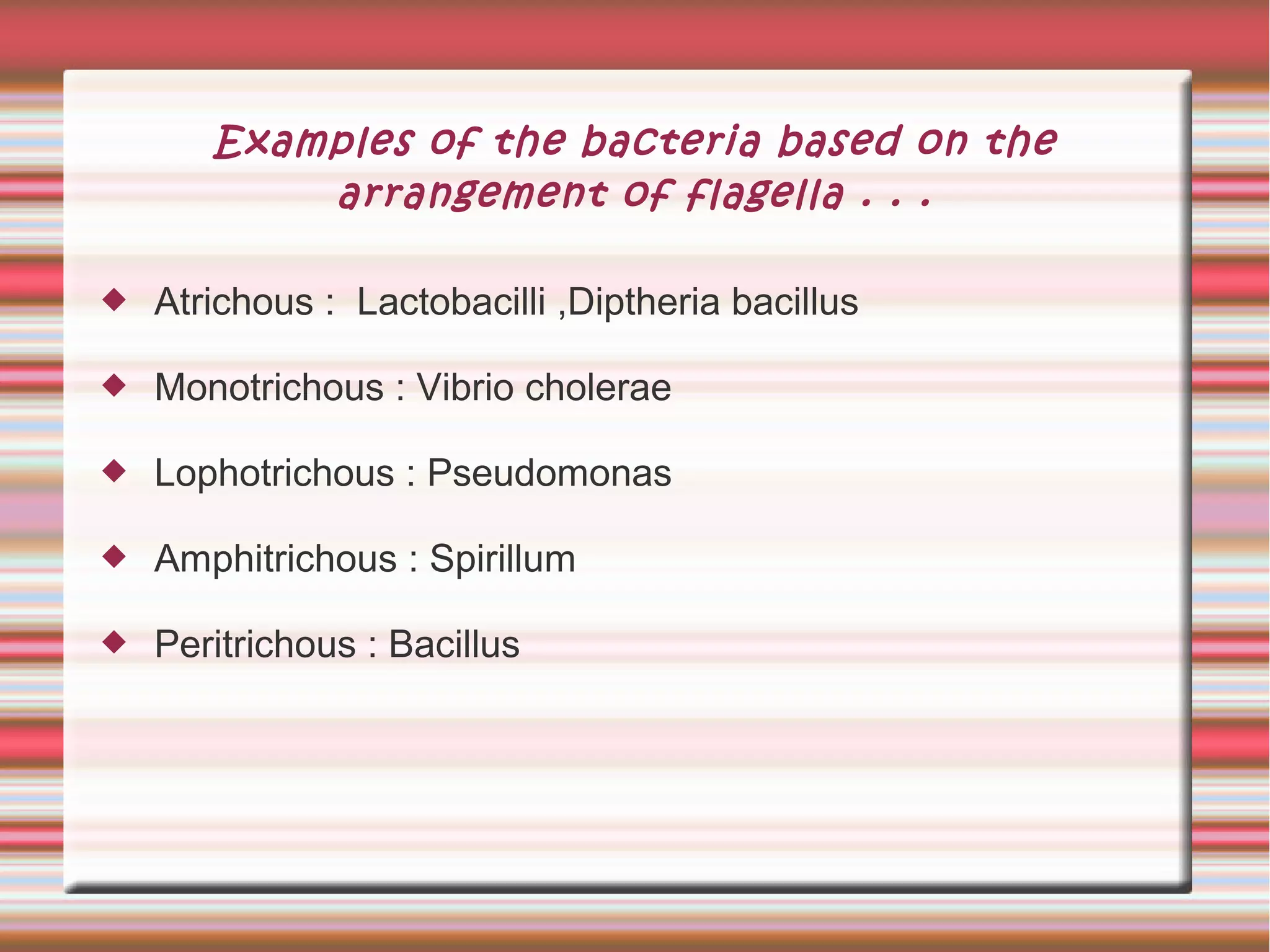Ppt flagella seminar | PPT