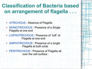 Ppt flagella seminar | ODP
