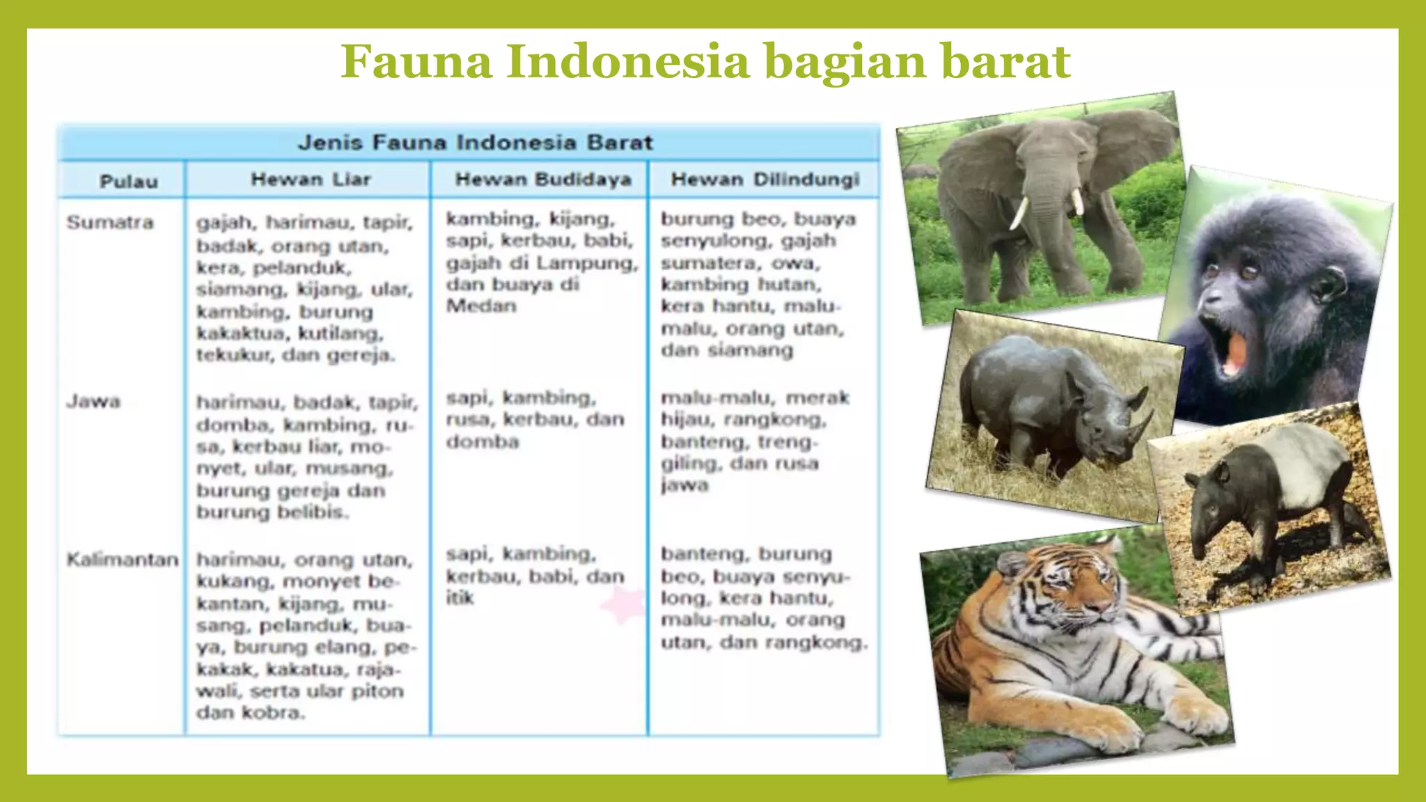 ppt-flora-dan-fauna-indonesia.pptx
