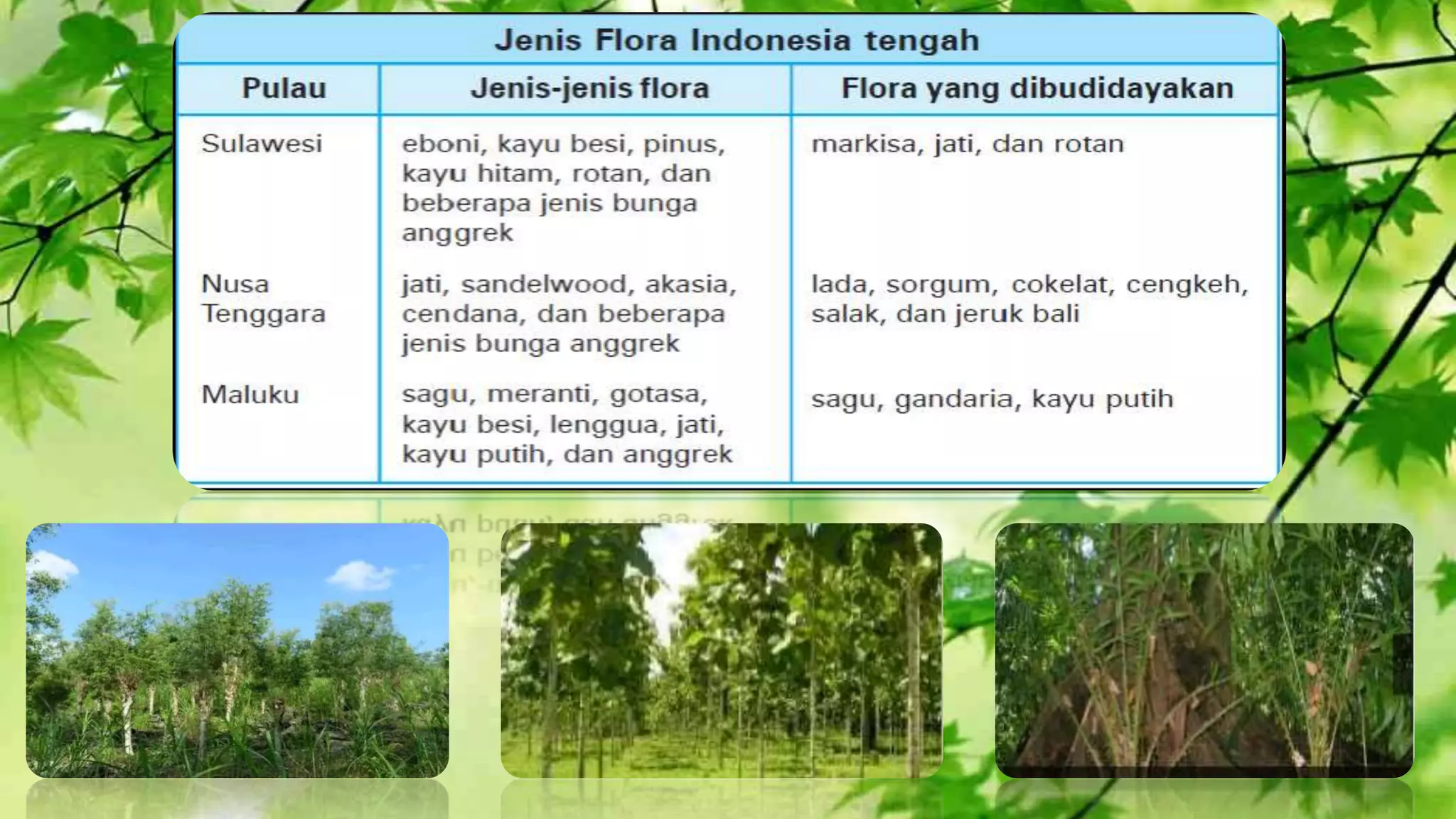 ppt-flora-dan-fauna-indonesia.pptx