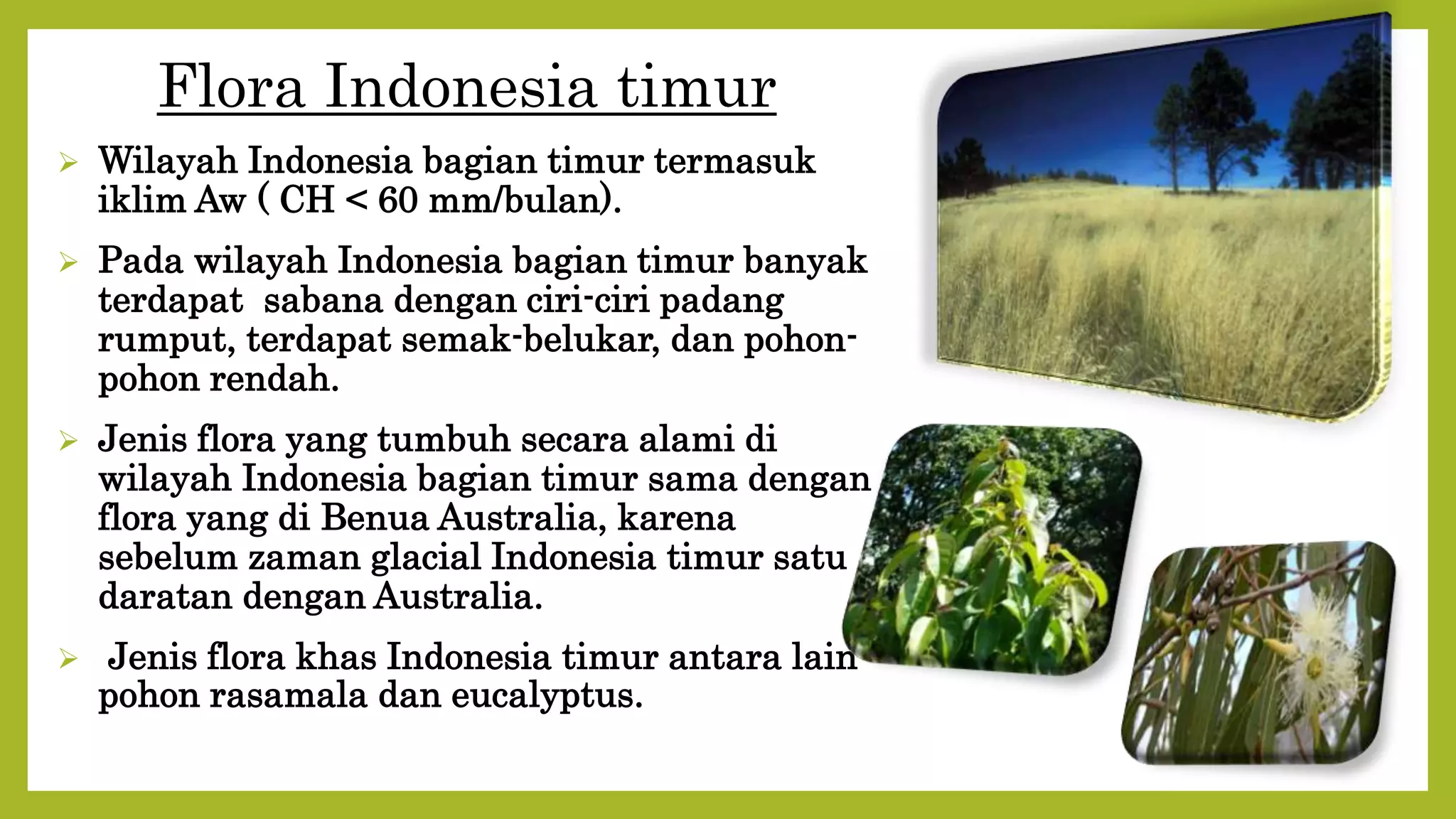 ppt-flora-dan-fauna-indonesia.pptx