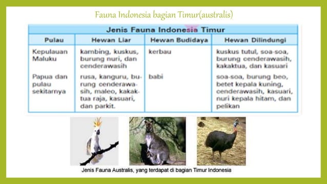 ppt-flora-dan-fauna-indonesia.pptx