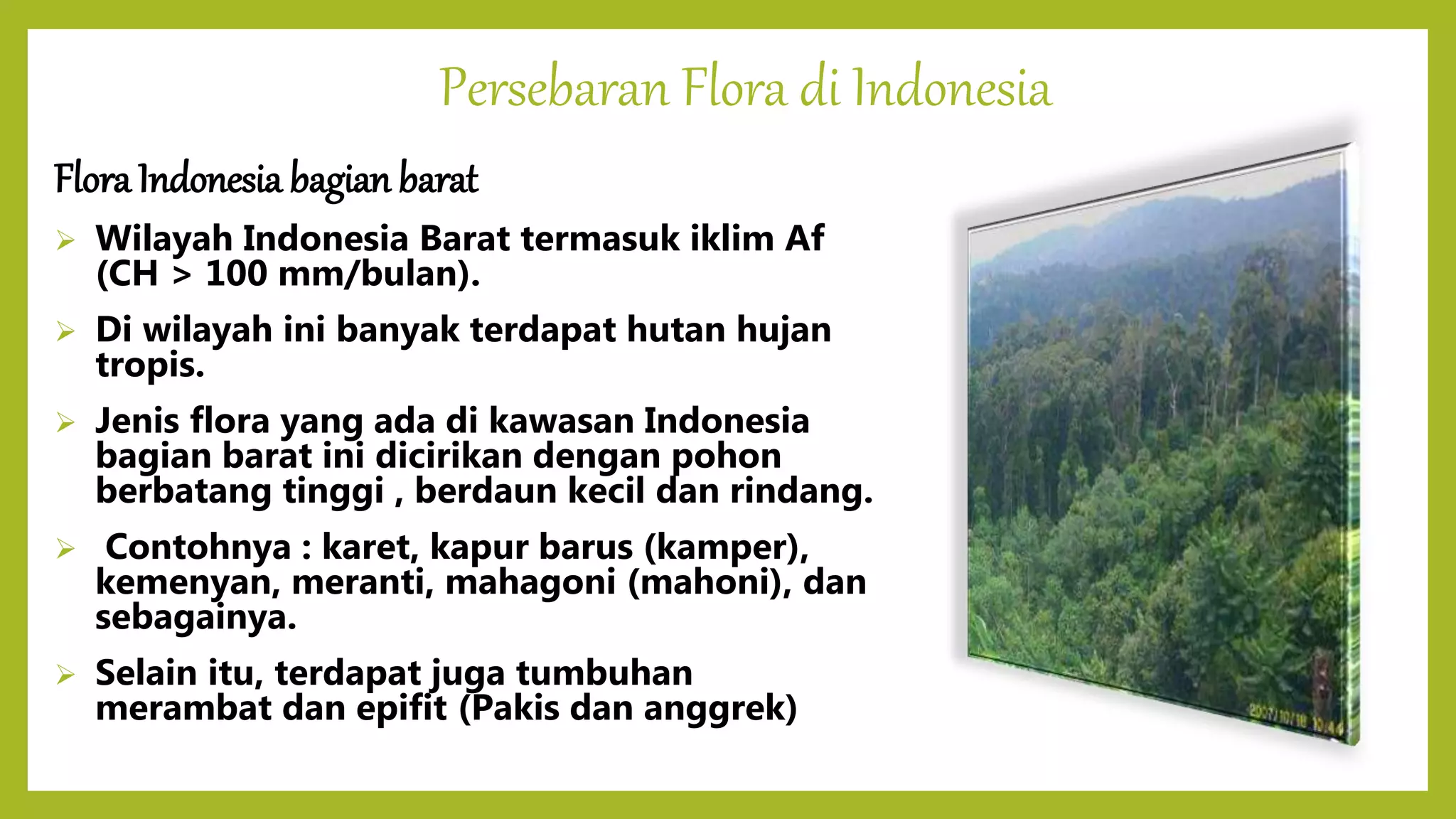 ppt-flora-dan-fauna-indonesia.pptx
