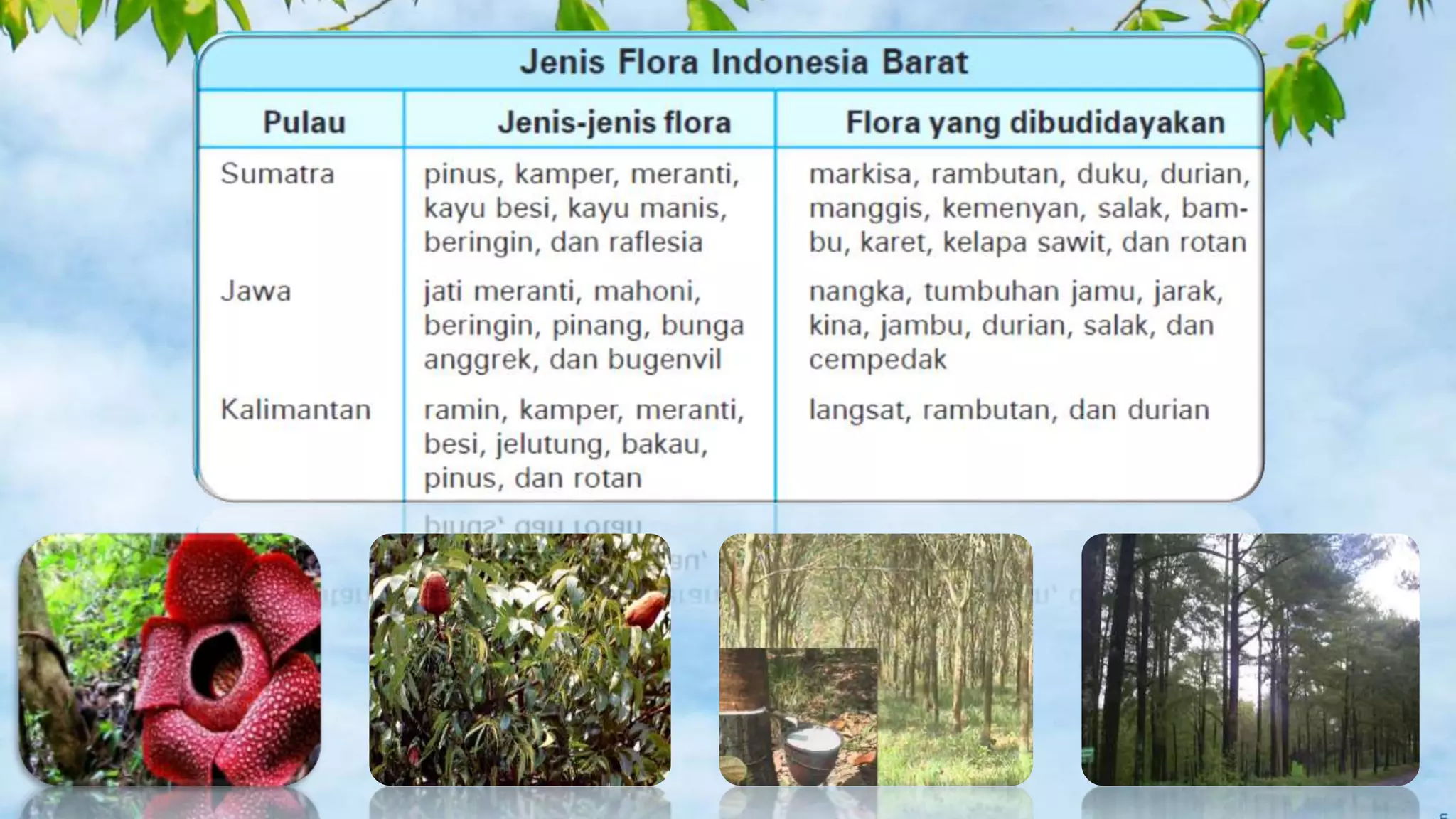 ppt-flora-dan-fauna-indonesia.pptx