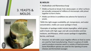PPT - FOOD MICROBIOLOGY.pptx (Food Quality and Safety) | PPTX