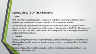 PPT - FOOD MICROBIOLOGY.pptx (Food Quality and Safety) | PPTX