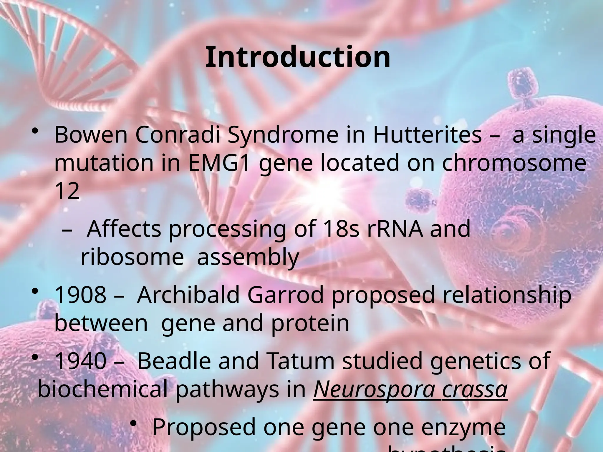 PPT-FOR-BIO - central dogma for biology focusing translation | PPTX