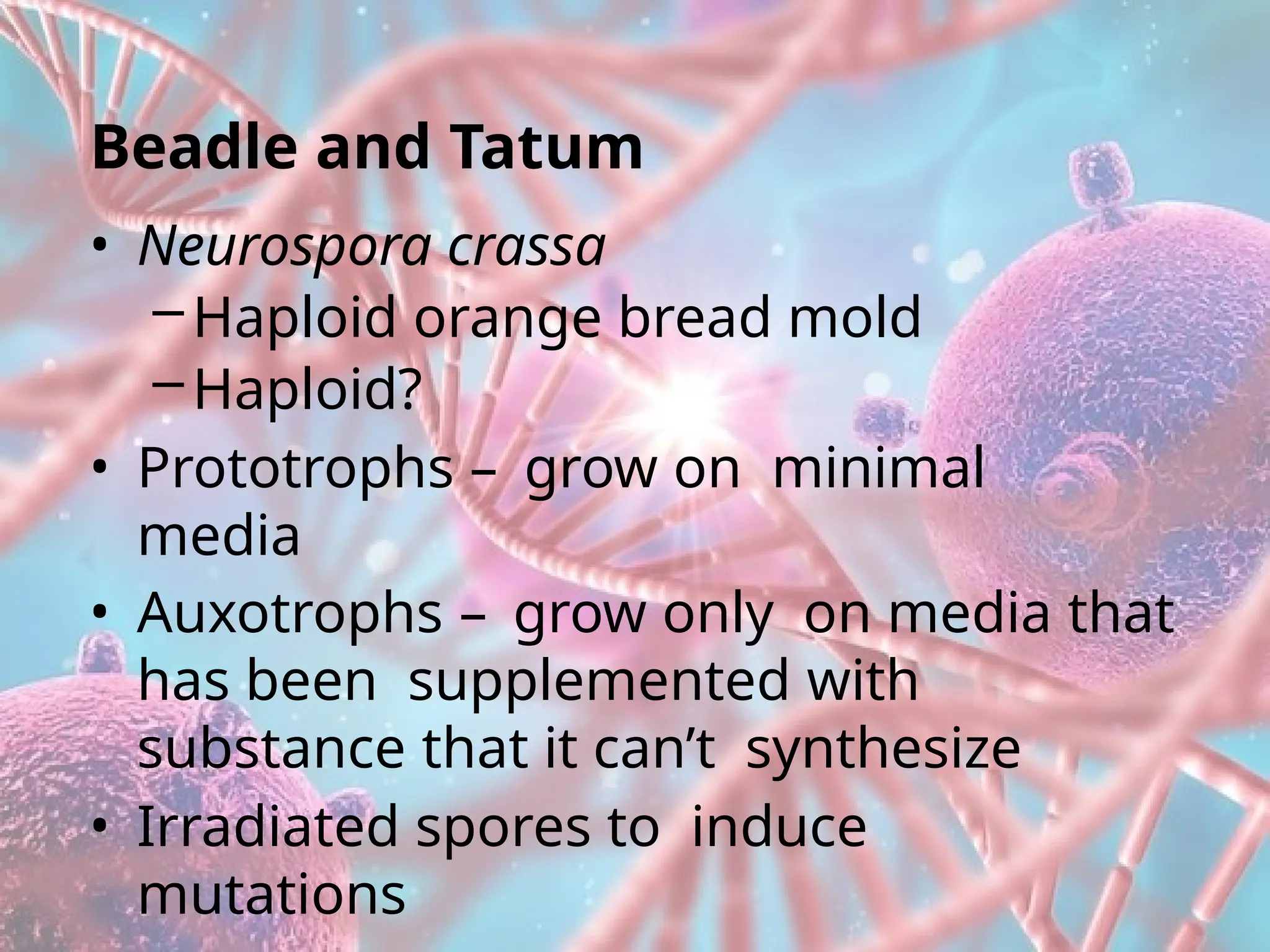 PPT-FOR-BIO - central dogma for biology focusing translation | PPTX