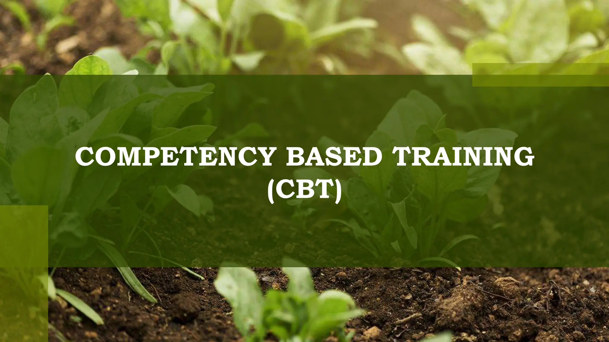 Competency-Based Training Orientation in OAP | PPTX