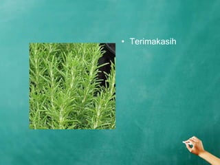 Ppt.formulasi emulgel | PPTX