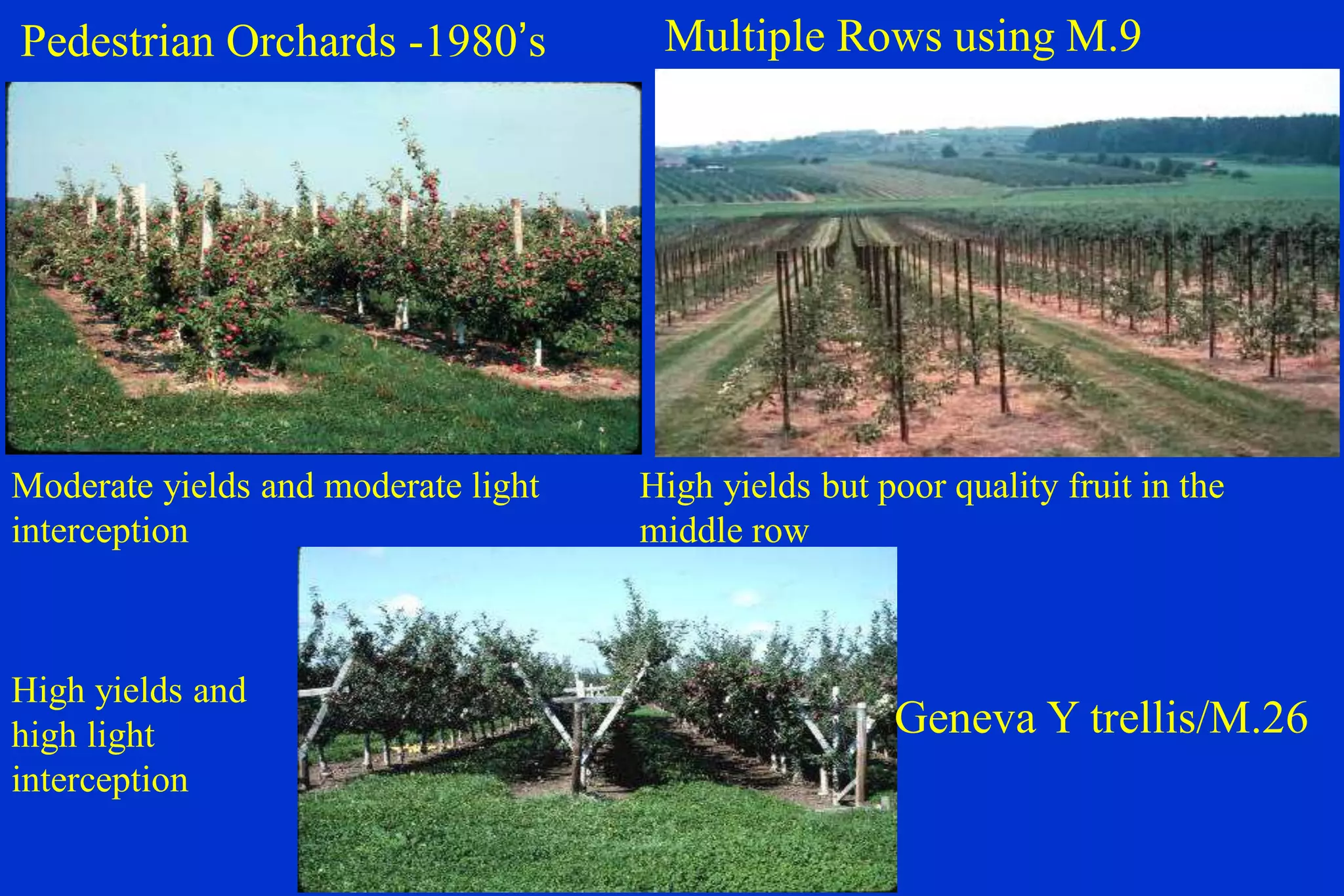 Ppt fruit-apple-tree-orchard-systems-robinson-cornell-2014-eng | PDF