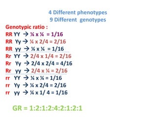 aaaaaaaaaqqaqwqwwwaaaaqqwqqaherdity.pptx