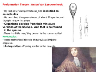 aaaaaaaaaqqaqwqwwwaaaaqqwqqaherdity.pptx