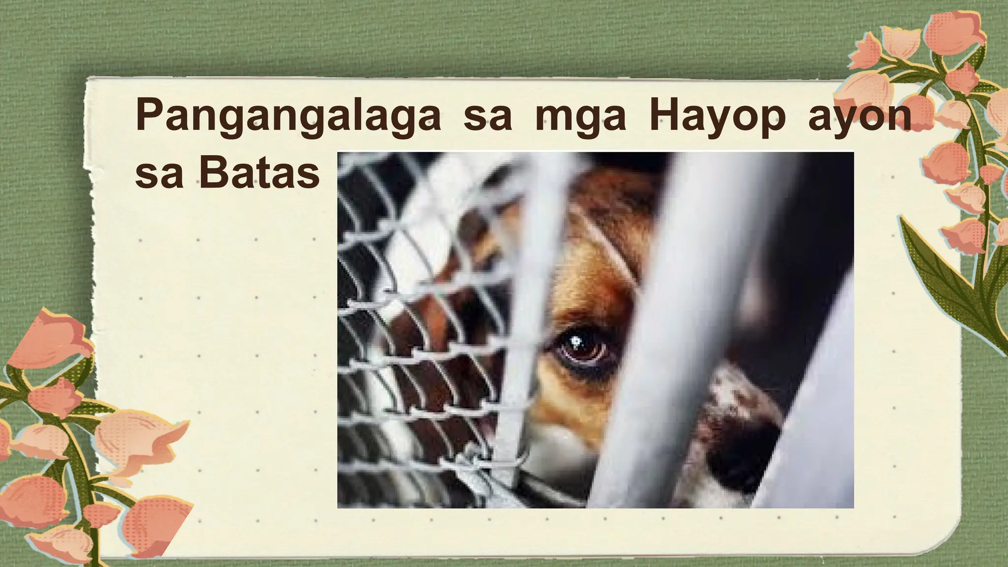 PPT - GMRC4 Pangangalaga sa mga Hayop bilang bahagi ng kapaligiran.pptx