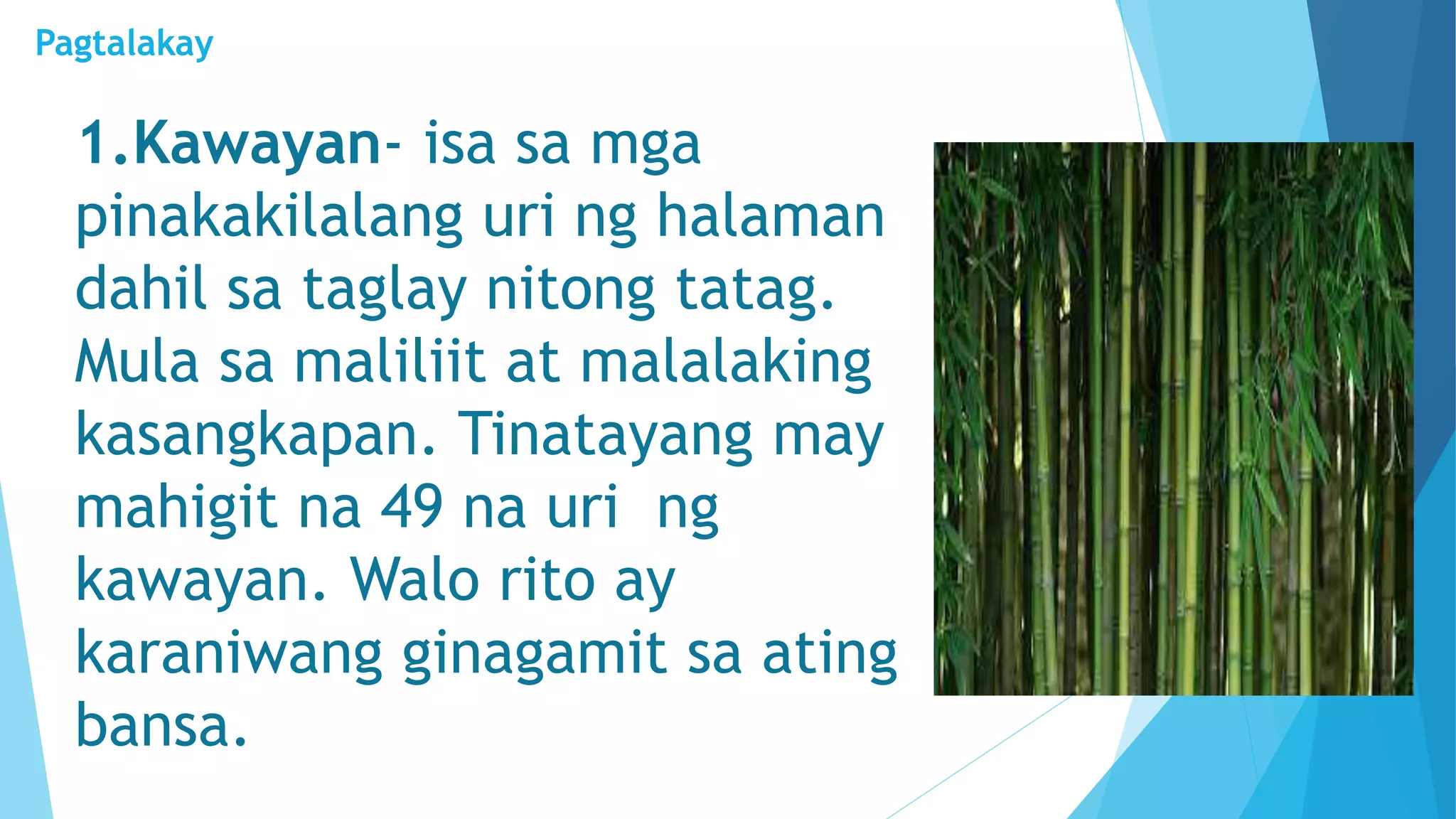 PPT-GR5-EPP-IA-WEEK-1.pptx