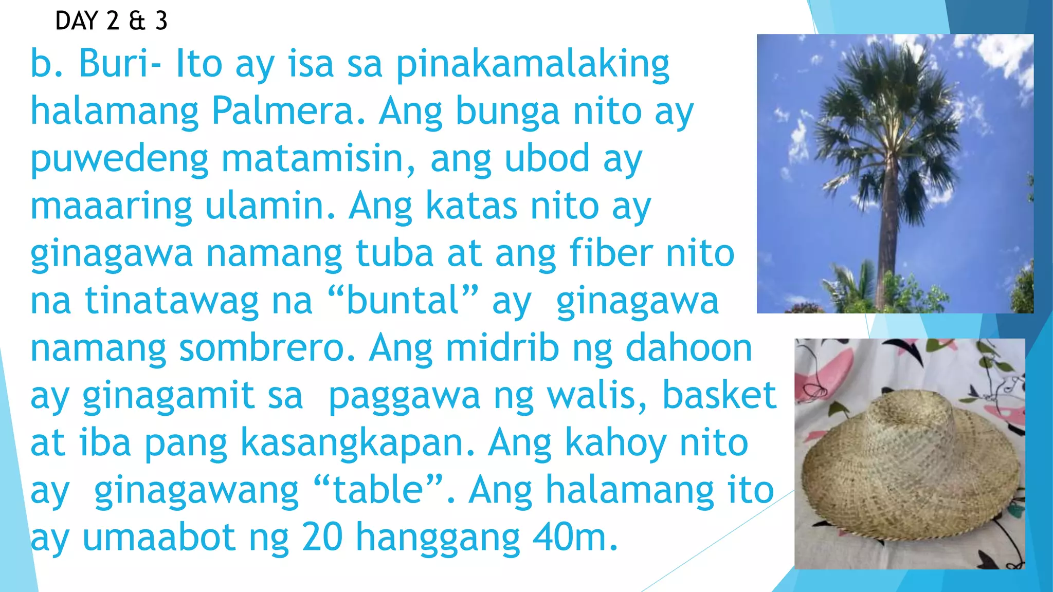 PPT-GR5-EPP-IA-WEEK-1.pptx