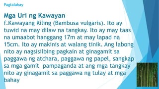 PPT-GR5-EPP-IA-WEEK-1.pptx