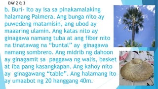 PPT-GR5-EPP-IA-WEEK-1.pptx