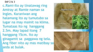 PPT-GR5-EPP-IA-WEEK-1.pptx