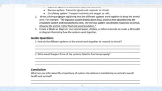 Presentation Grade 11 General Science (Quarter 3) | PPTX