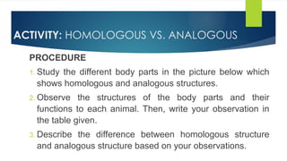 PPT - Homologous vs. Analogous structure | PPTX