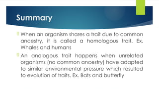 PPT - Homologous vs. Analogous structure | PPTX