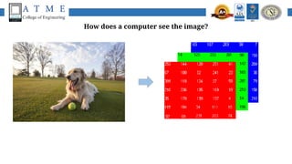 PPT Image Caption Generator mini project | PPT