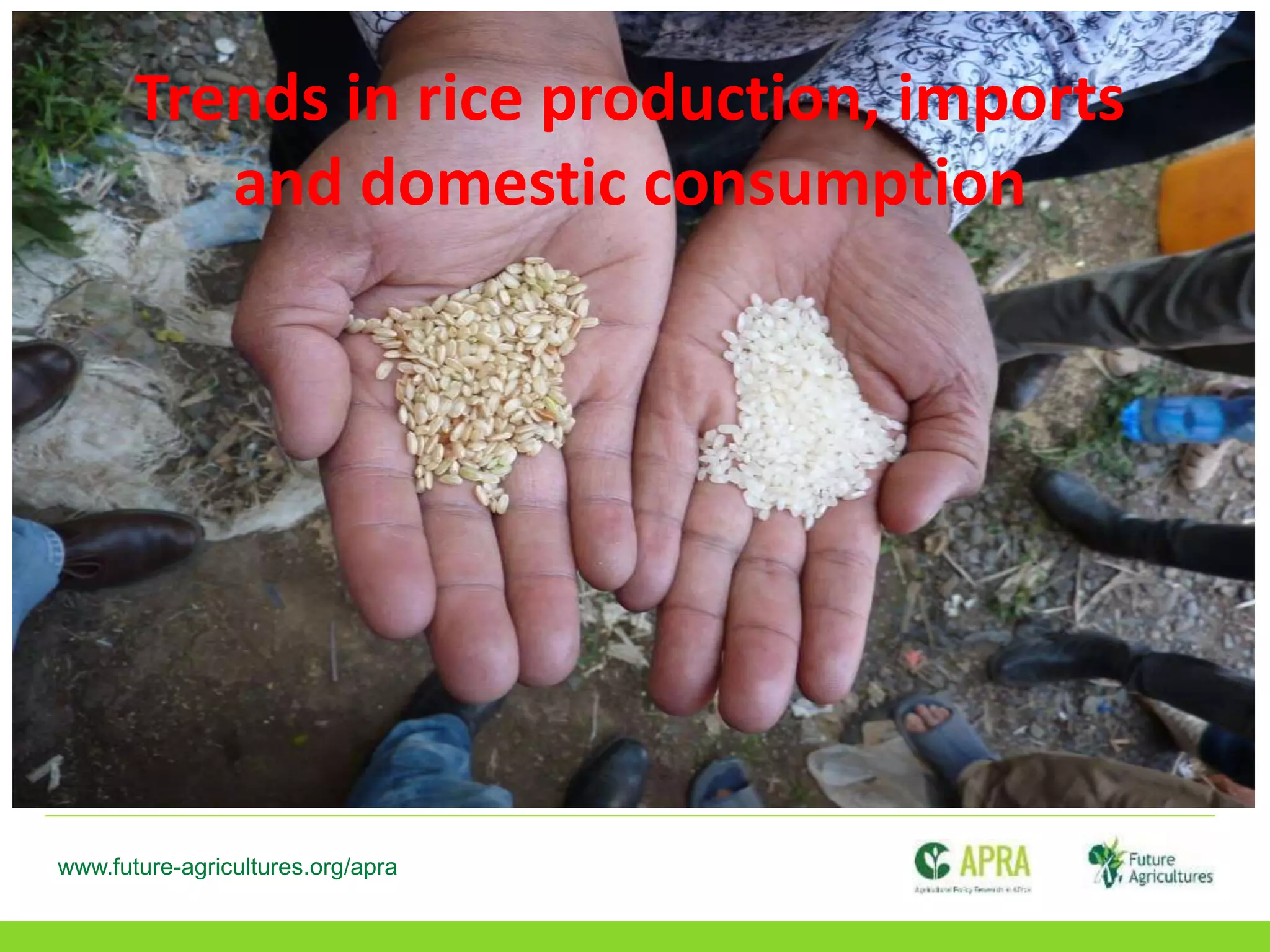 Importance of the rice sector in ethiopia | PPTX