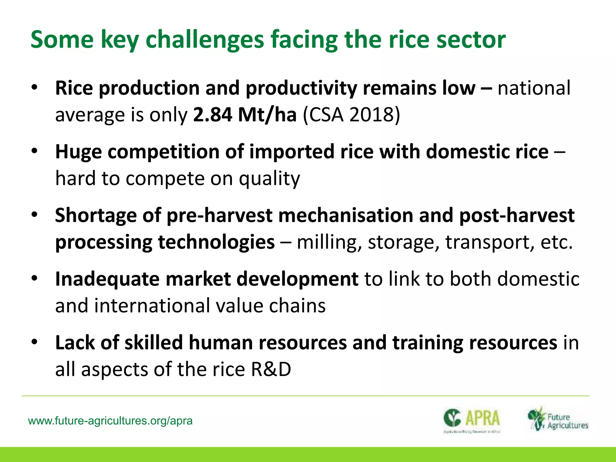 Importance of the rice sector in ethiopia | PPTX