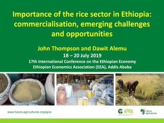 Importance of the rice sector in ethiopia | PPTX