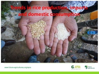 Importance of the rice sector in ethiopia | PPTX