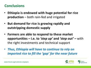 Importance of the rice sector in ethiopia | PPTX
