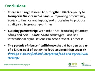 Importance of the rice sector in ethiopia | PPTX