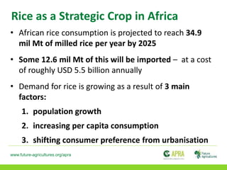 Importance of the rice sector in ethiopia | PPTX