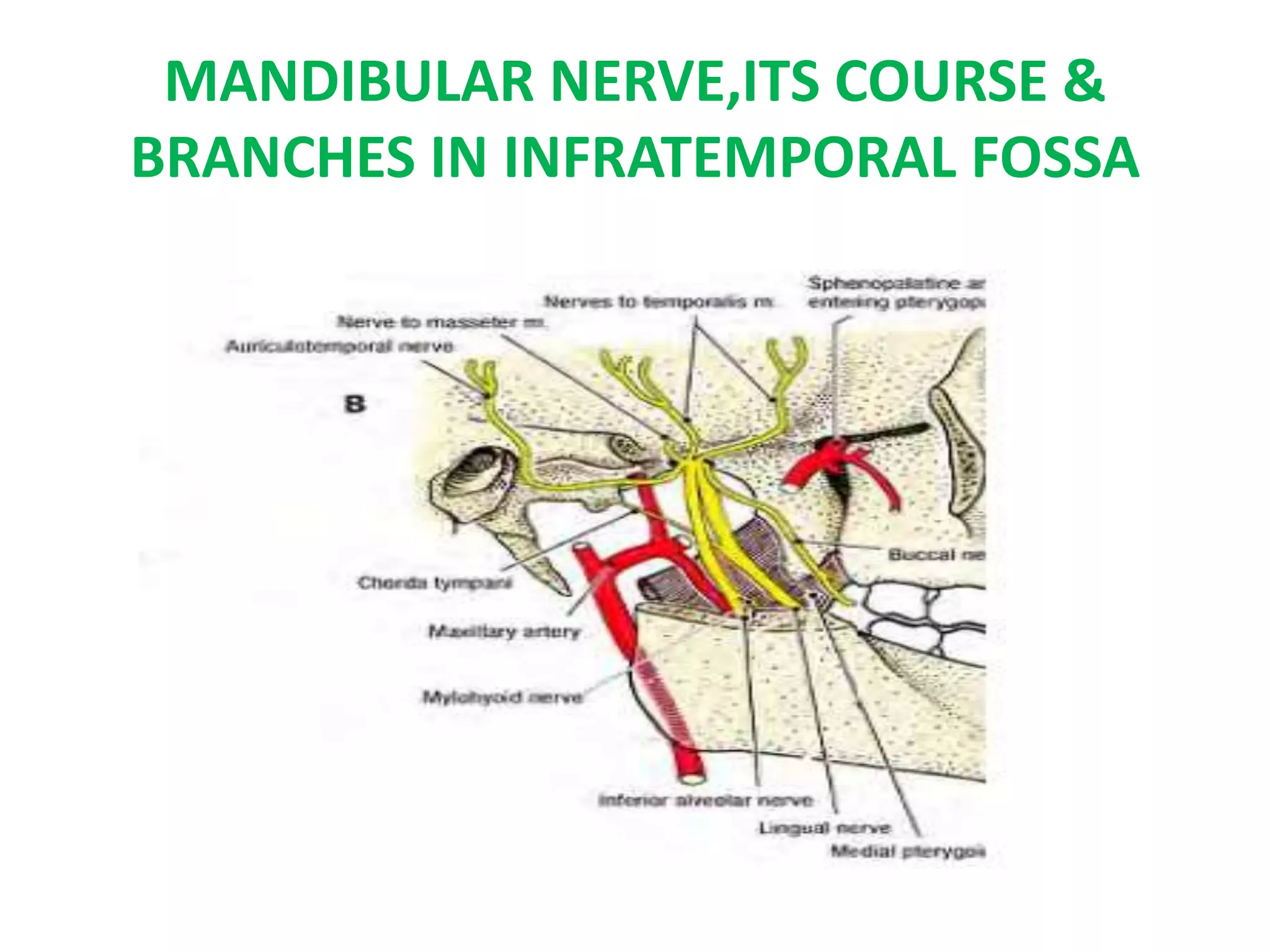 Ppt.infra temporal fossa | PPTX