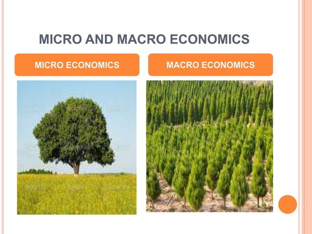 Ppt introduction to microeconomics | PPT