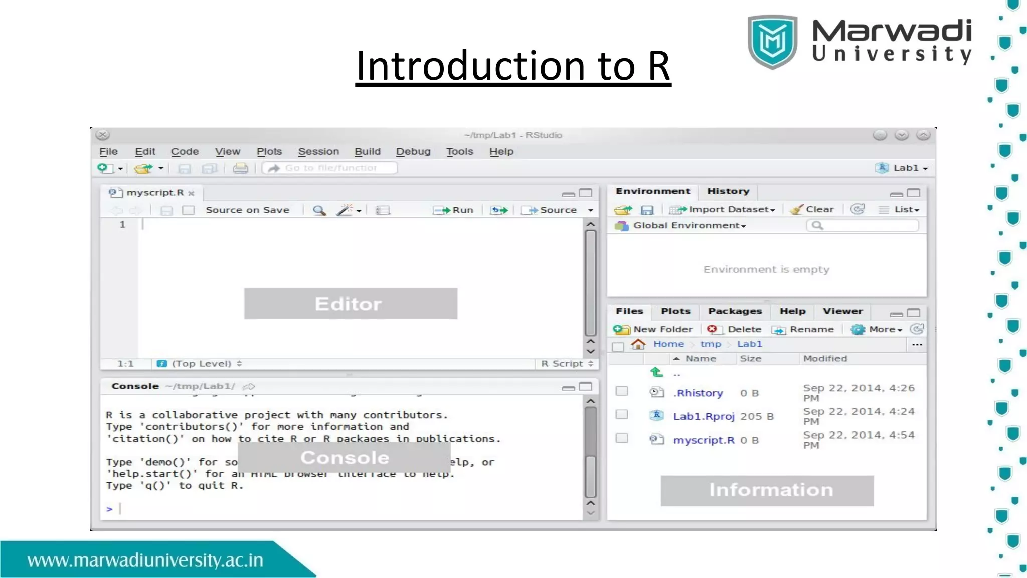 PPT - Introduction to R.pdf
