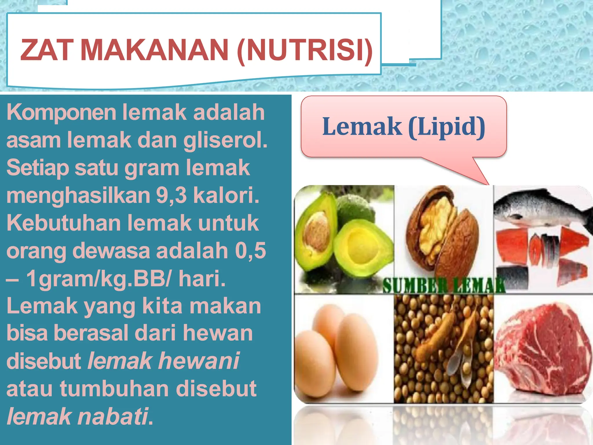ppt-kd-37-kelas-xi-sistem-pencernaan.pptx