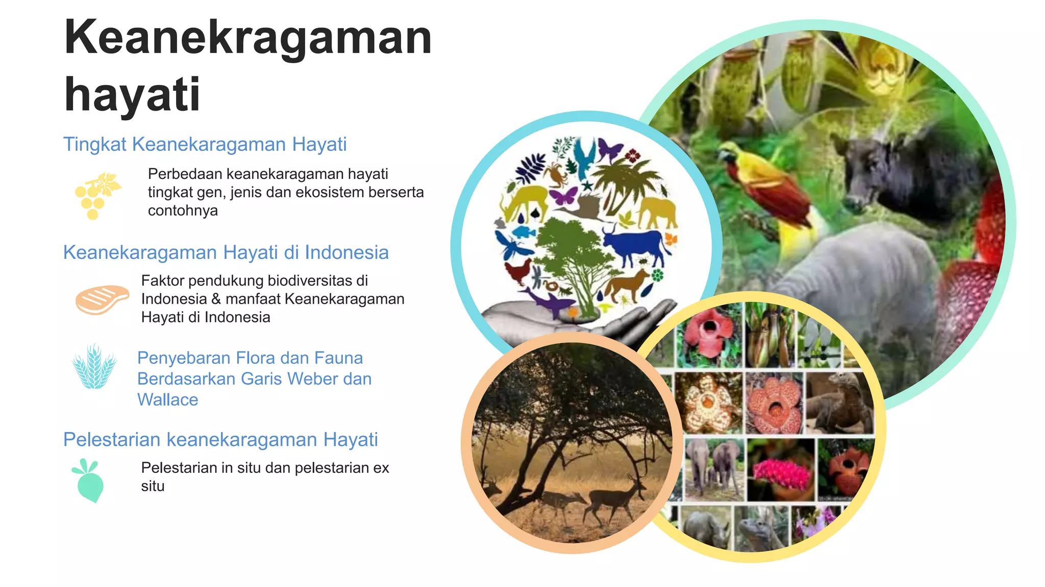 PPT-KEANEKARAGAMAN-HAYATI.pptx