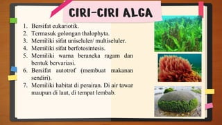 PPT - KEL 4 ALGA.pptx
